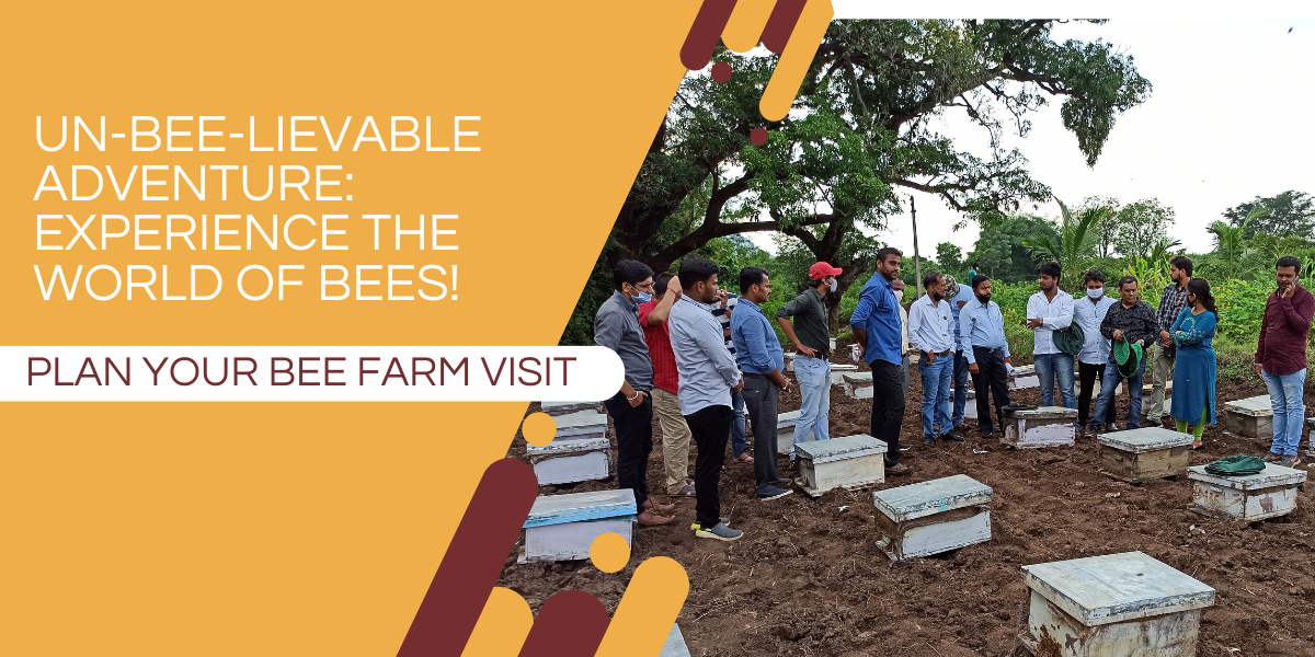 Bee farm Visit – Madhupushp Honey