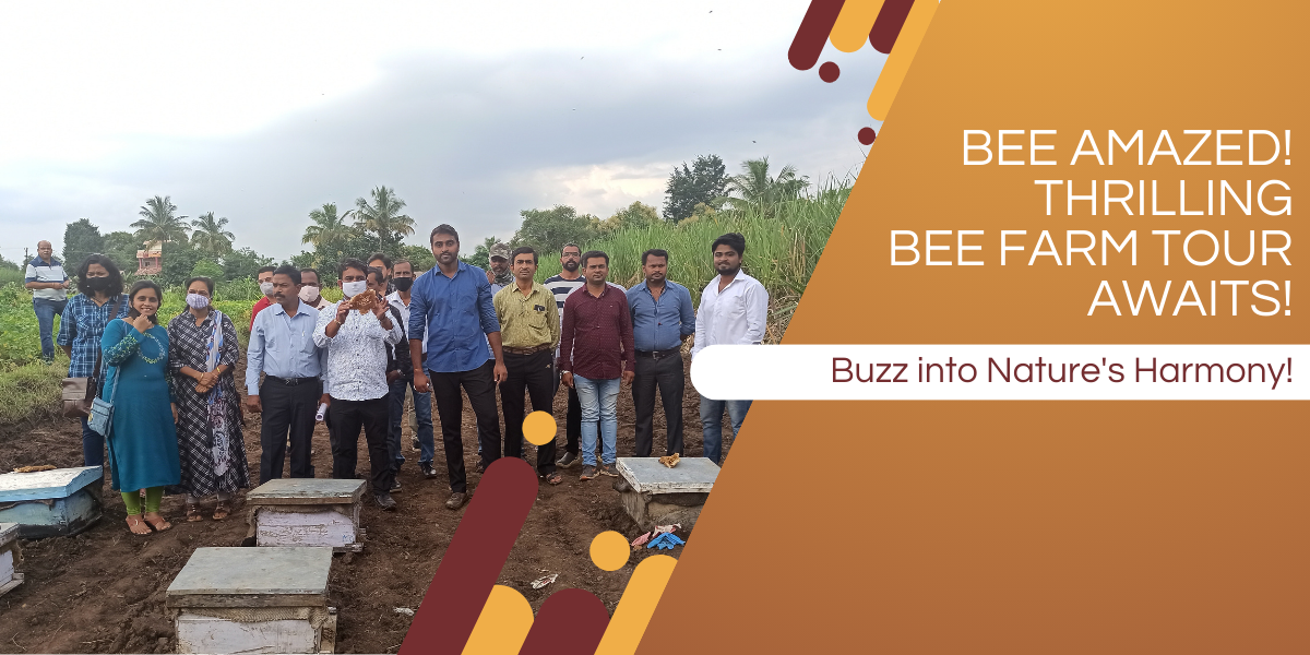 Bee farm Visit – Madhupushp Honey